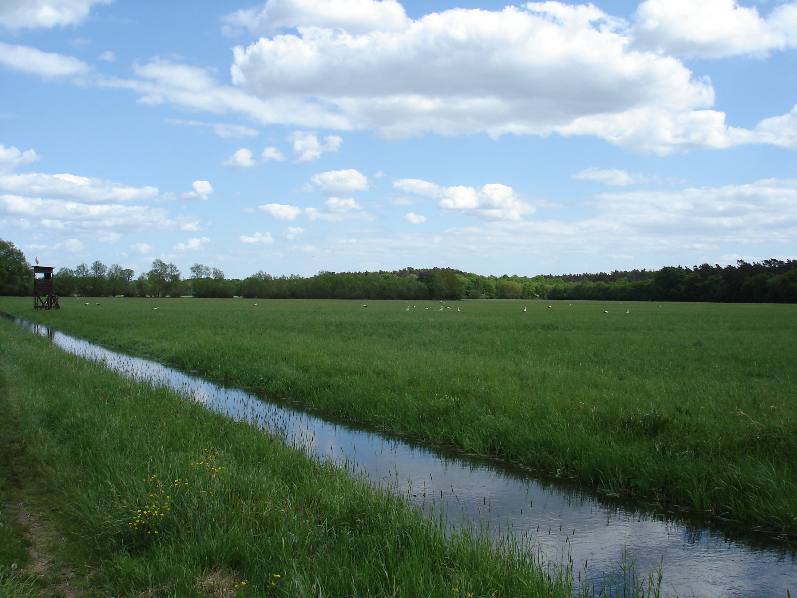 Bellheim | Verbandsgemeinde Bellheim