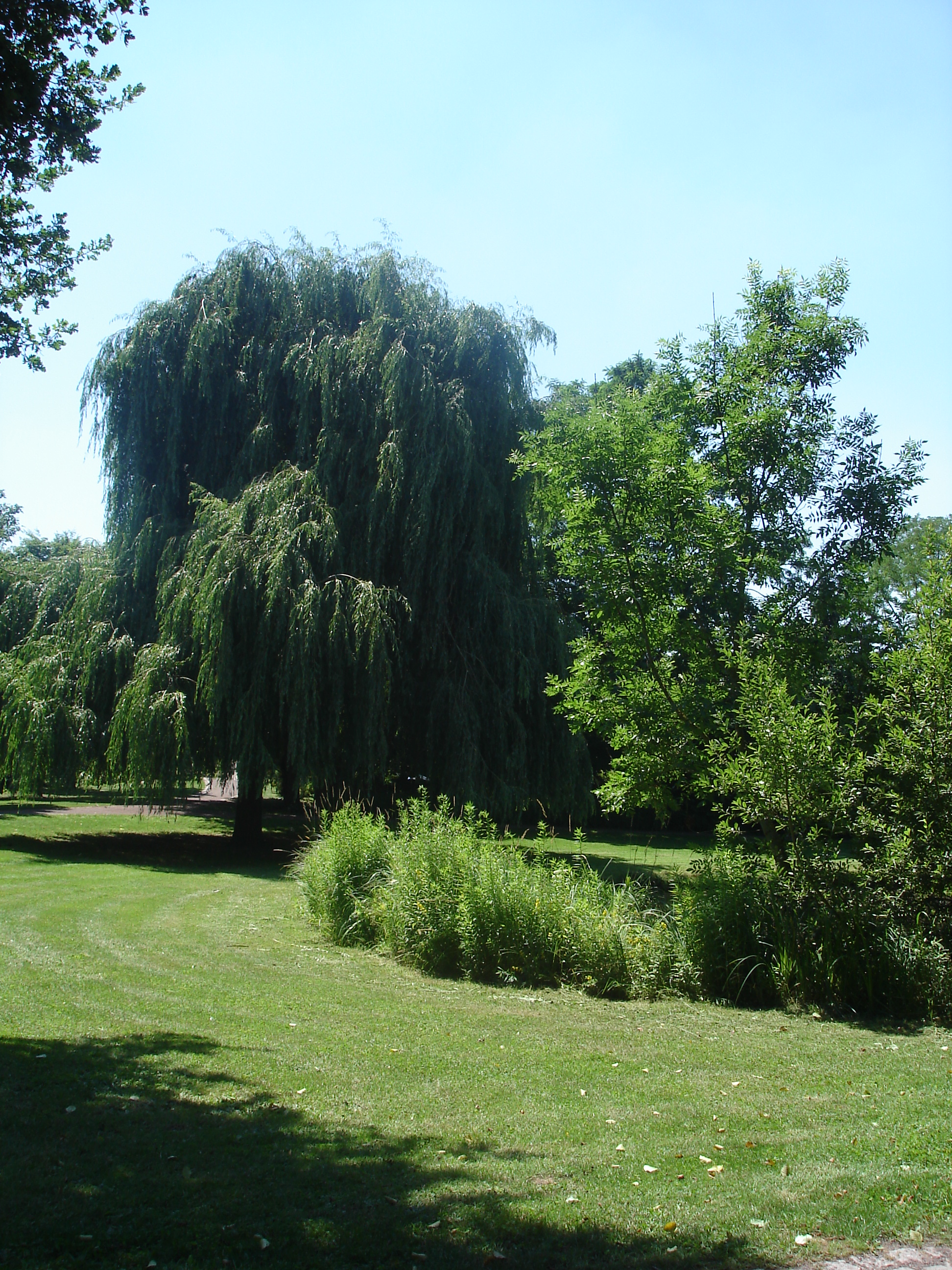 Bellheim | Verbandsgemeinde Bellheim